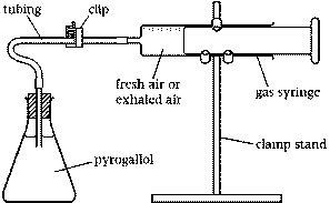 Gas Syringe Experiment Pictures